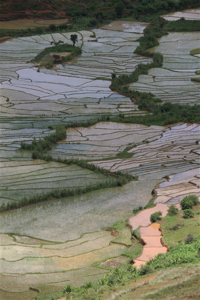 Discover the Rich Cultural Heritage of Madagascar with Reis Kultur