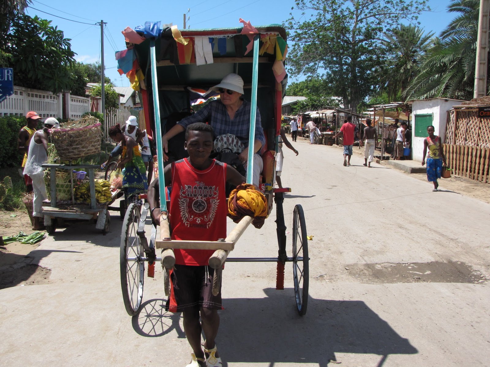 Non-Motorized Taxis and Commercial Vehicles in Madagascar: A Sustainable
