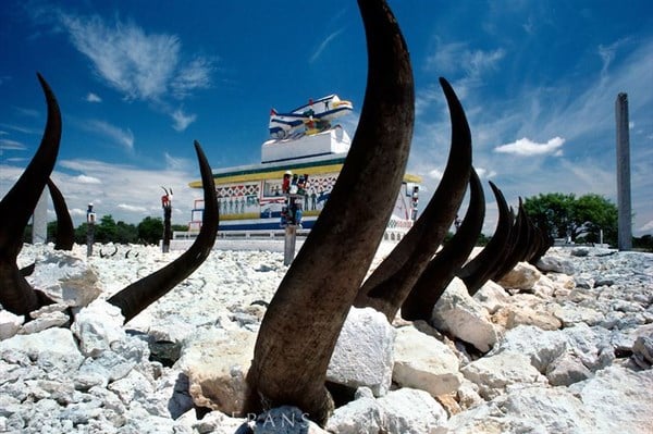 The Antandroy Tribe in Madagascar: A Look at the Indigenous Peoples